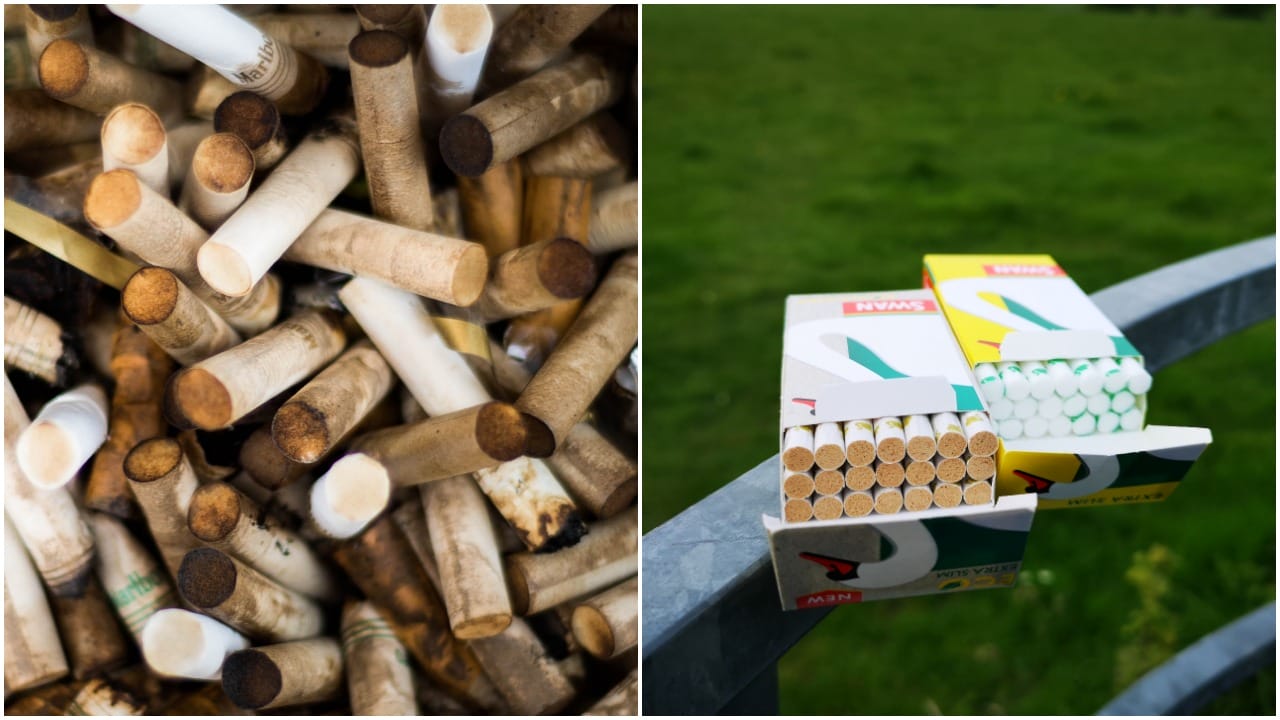 Cigarette filters are single-use plastic. Switch to biodegradable.