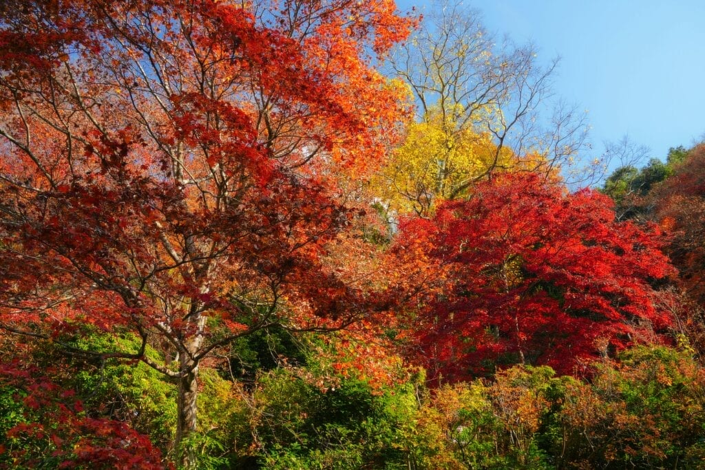 The Trend Cycle Trap: How Seasonal Aesthetics and Micro-Fads Influence ...